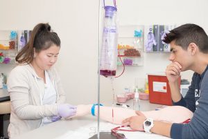 Phlebotomy Technician Training Program | Everett Community College